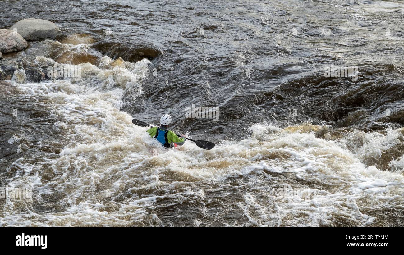 kayaker surfing the wave in Whitewater Park on the Poudre River in ...