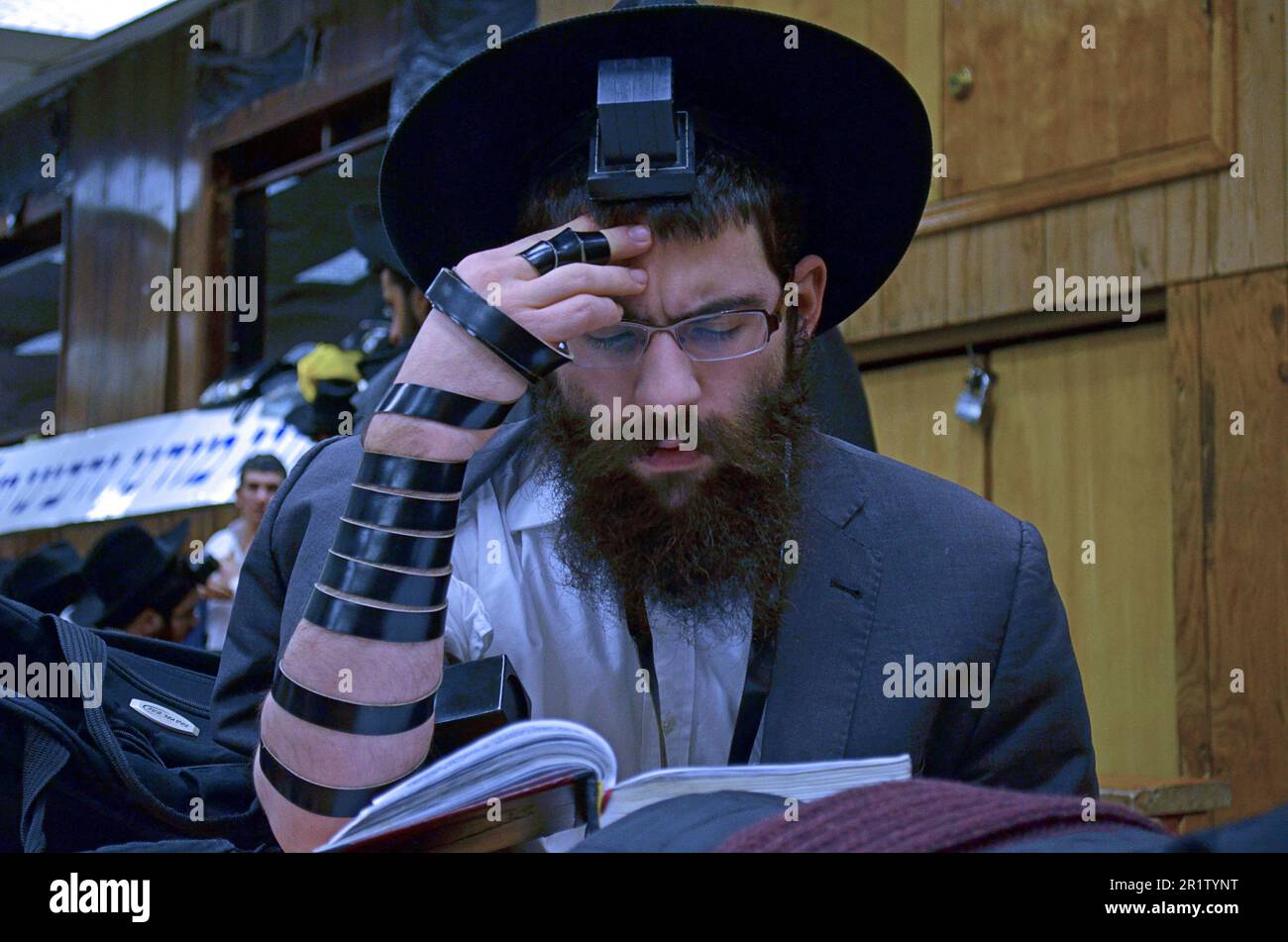 Religious Jewish man praying wearing Tefillin, phylacteries, at ...