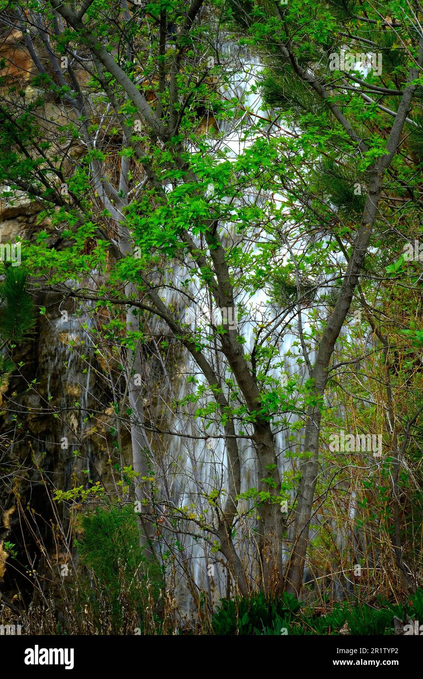 Waterfall in motion with water flowing blur blurry and sharp trees and ...