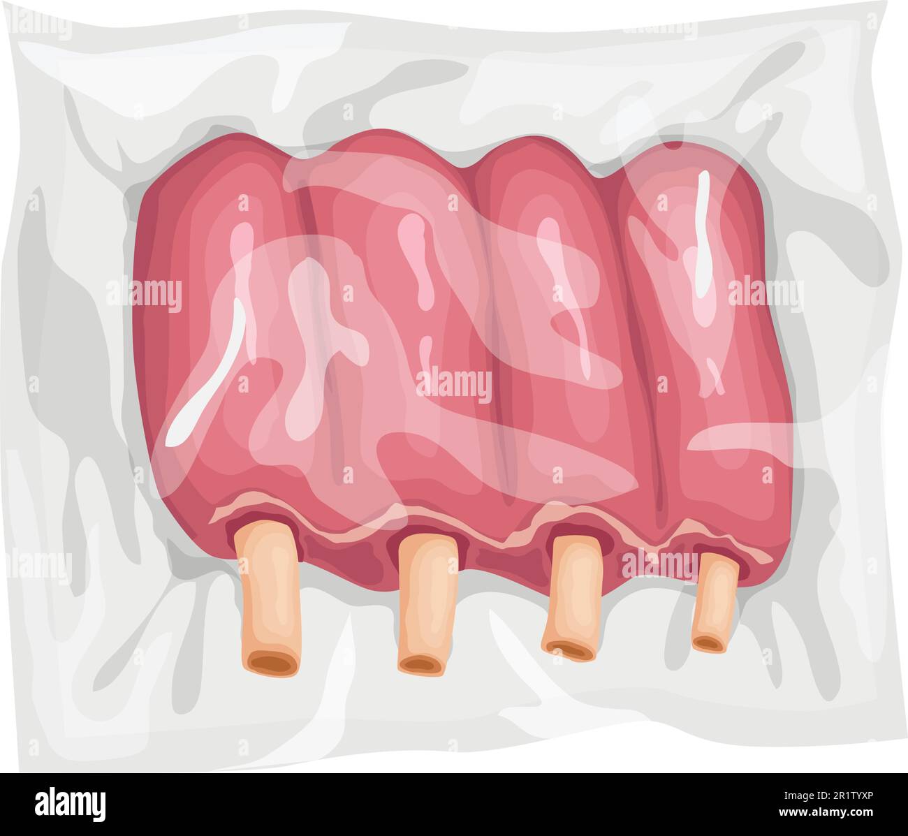 Rib pieces Stock Vector Images - Alamy