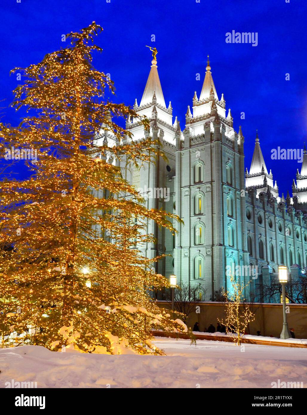 Salt Lake City Temple Square Christmas Lights on Trees and Steeples ...