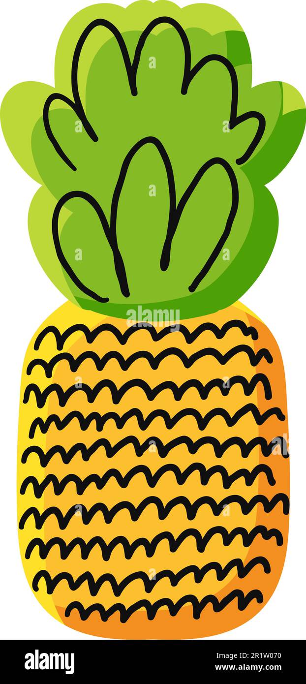 Natural pineapple hand drawn vector illustration. Ripe tropical fruit ...