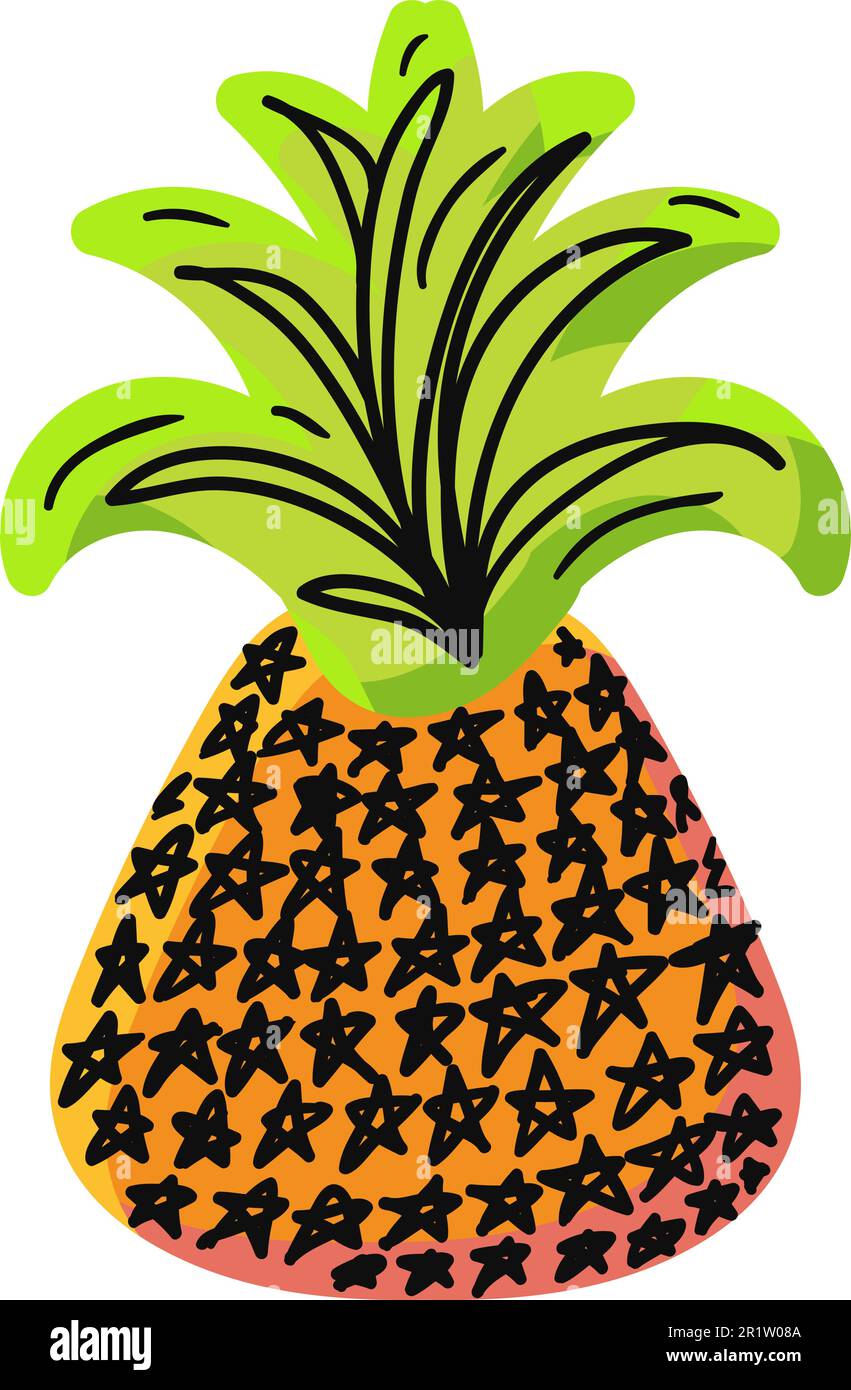 Natural pineapple hand drawn vector illustration. Ripe tropical fruit ...