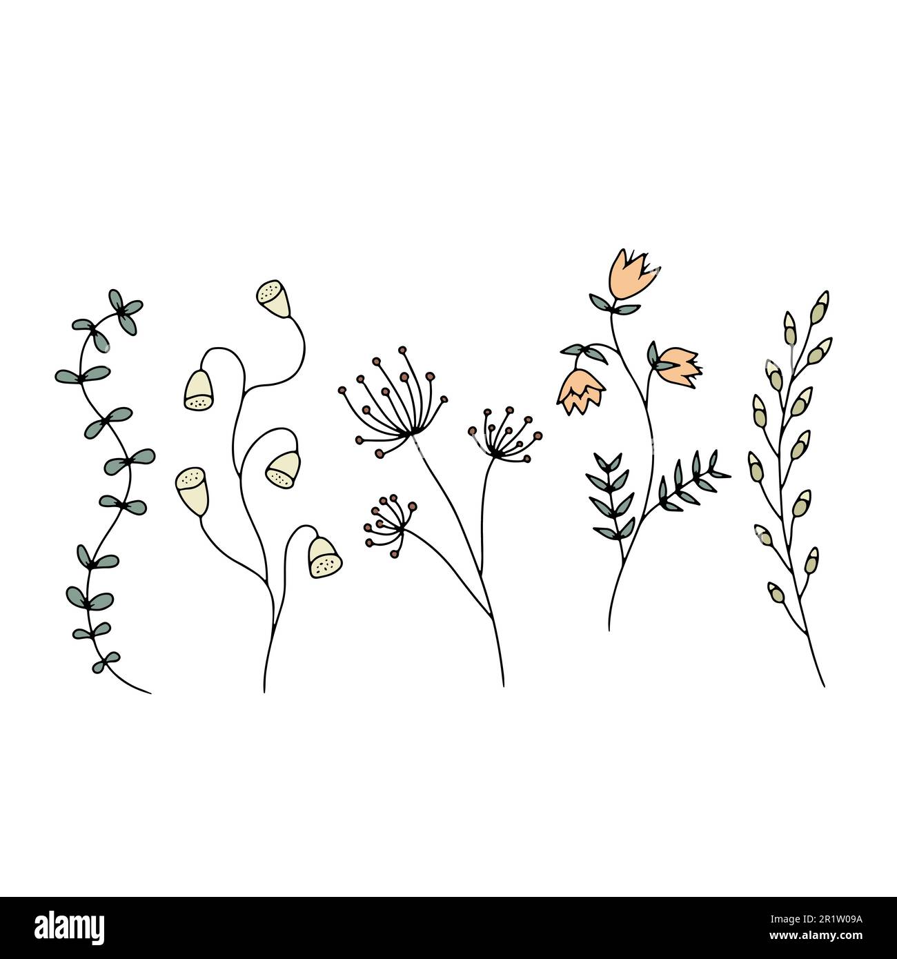 Hand drawn wild flowers illustrations set isolated on white background ...
