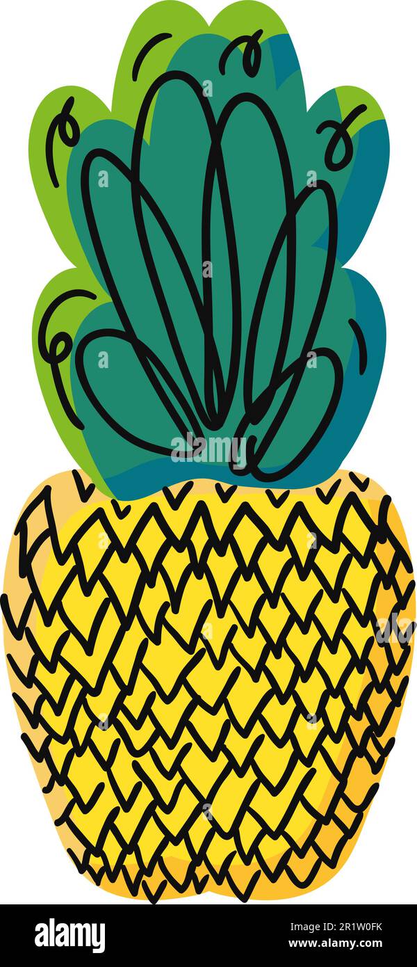 Natural pineapple hand drawn vector illustration. Ripe tropical fruit ...
