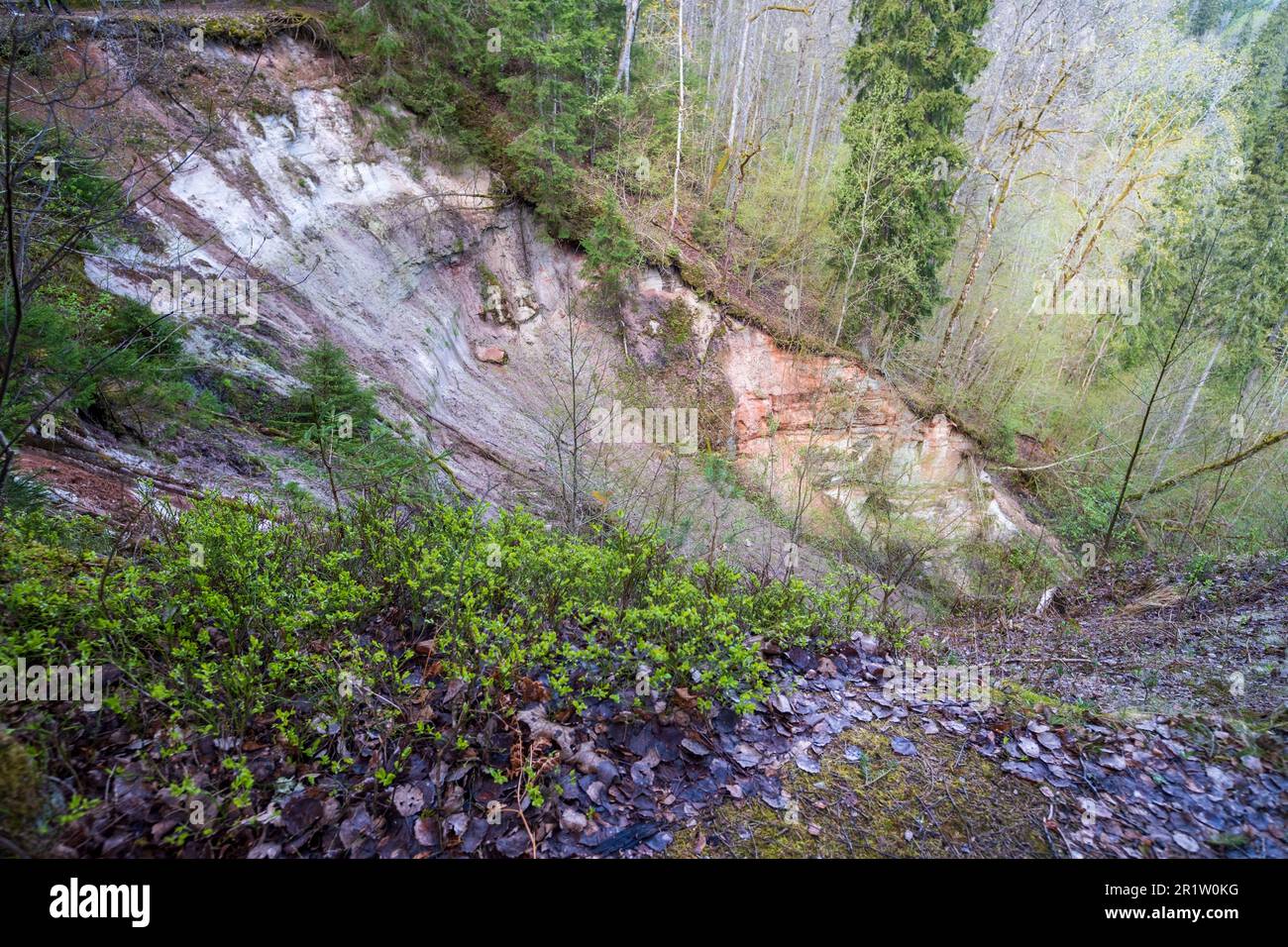 Massive landslide. Landslide of red and gray clay. Gauja National Park ...