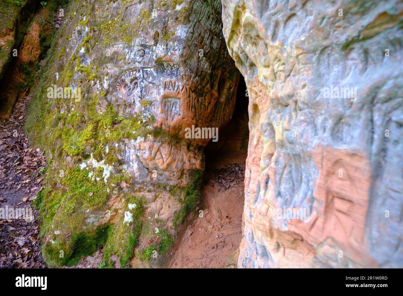 Red sandstone cliffs. Entrance to the cave in Gauja park, Sigulda ...