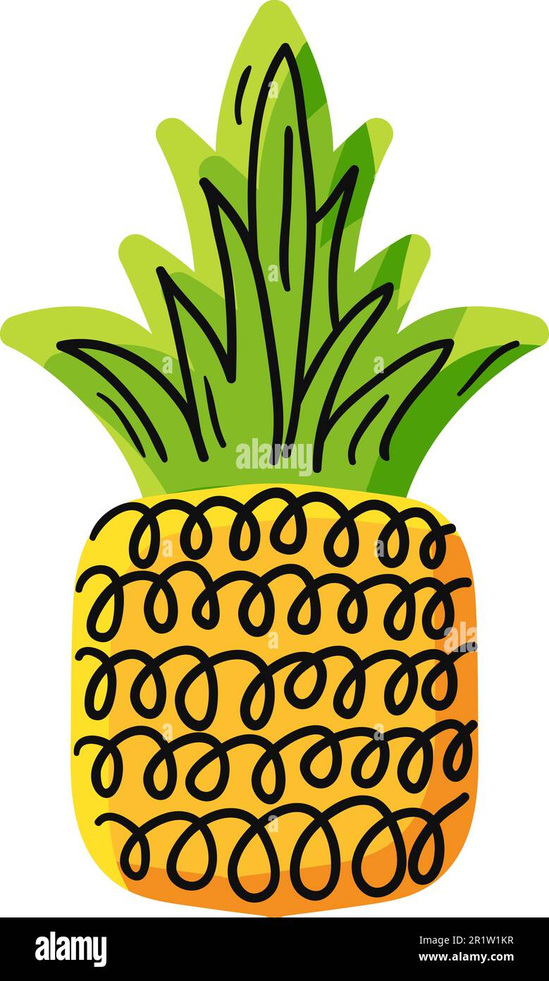 Natural pineapple hand drawn vector illustration. Ripe tropical fruit ...
