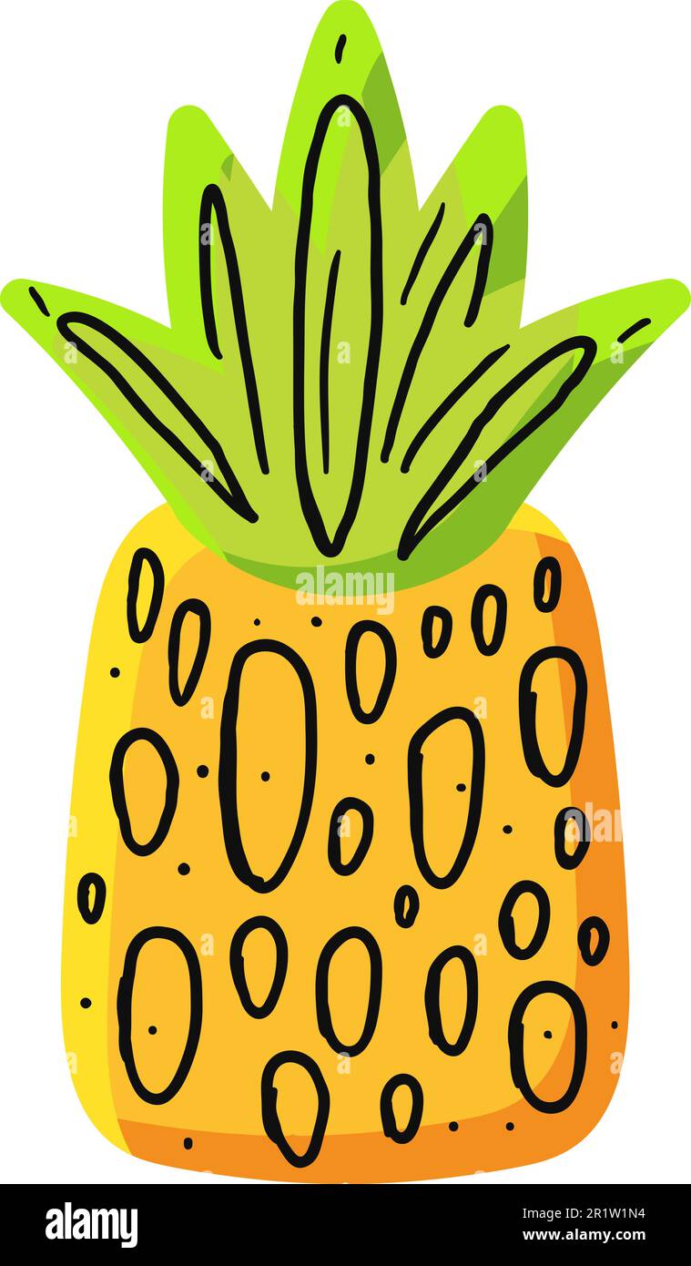 Natural pineapple hand drawn vector illustration. Ripe tropical fruit ...