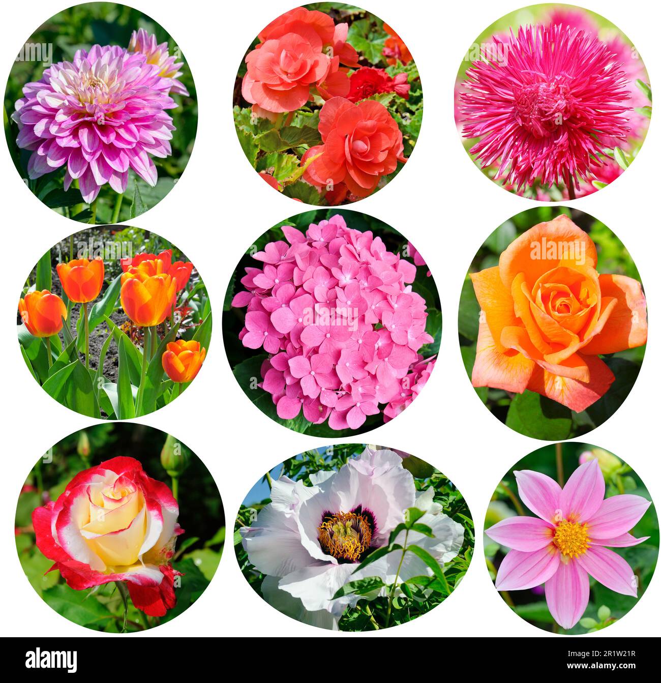 Photo collage colorful pattern Cut Out Stock Images & Pictures - Alamy