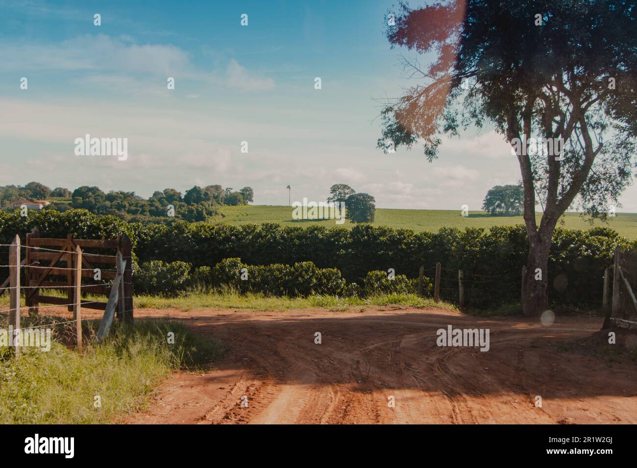 Tree shadow on pathway hi-res stock photography and images - Alamy