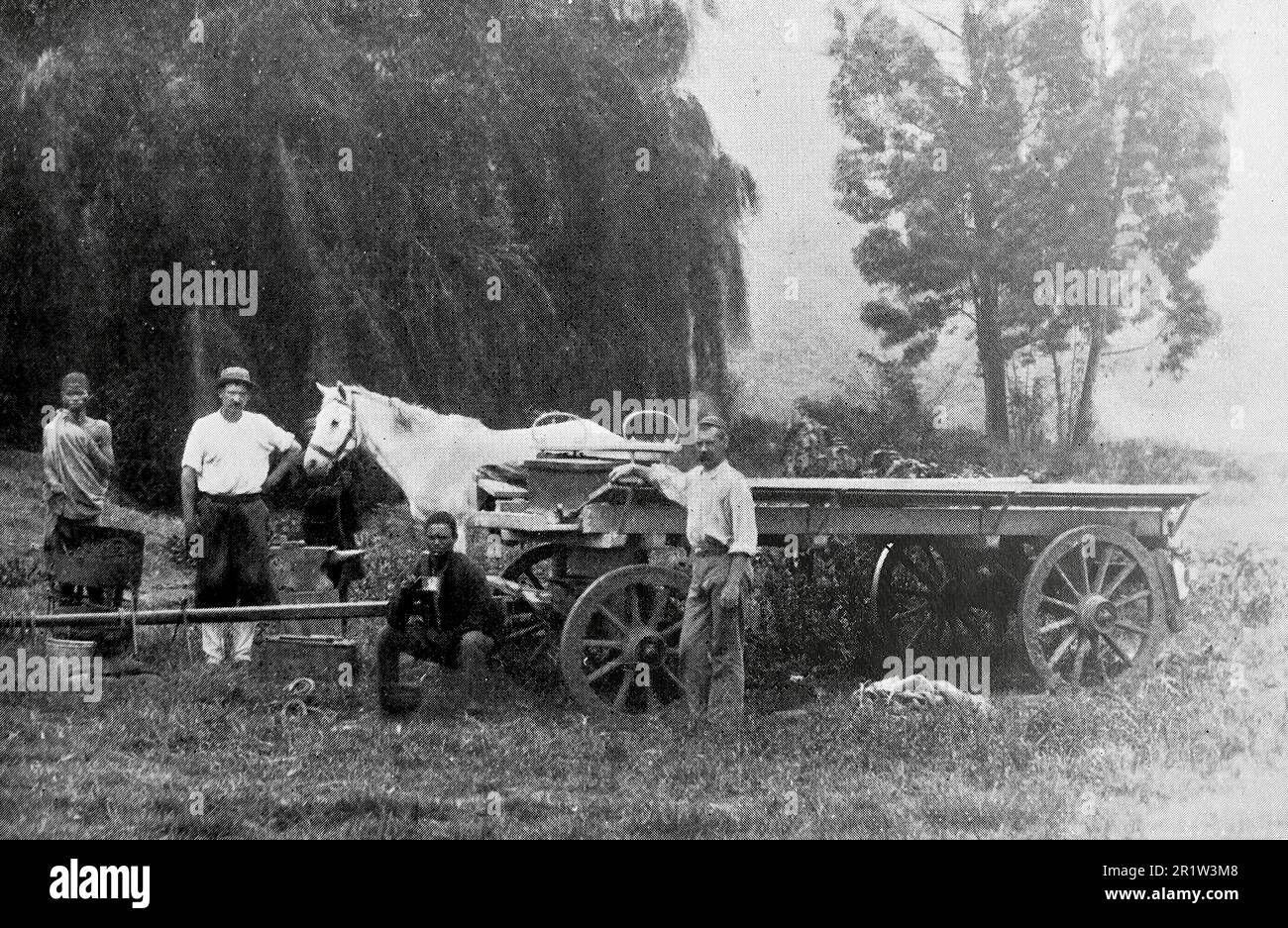 The Boer War Also Known As The Second Boer War The South African War And The Anglo Boer War