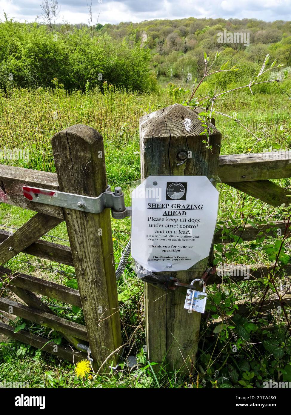 Environmentally important open space landscape in the Surrey Hills Area ...