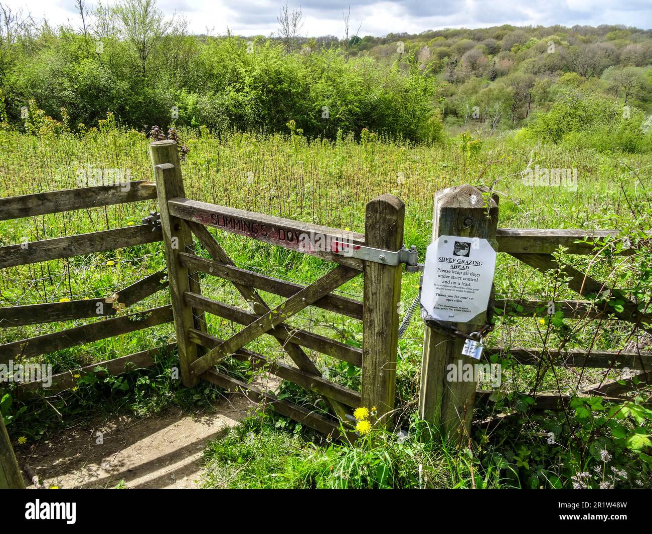 Environmentally important open space landscape in the Surrey Hills Area ...