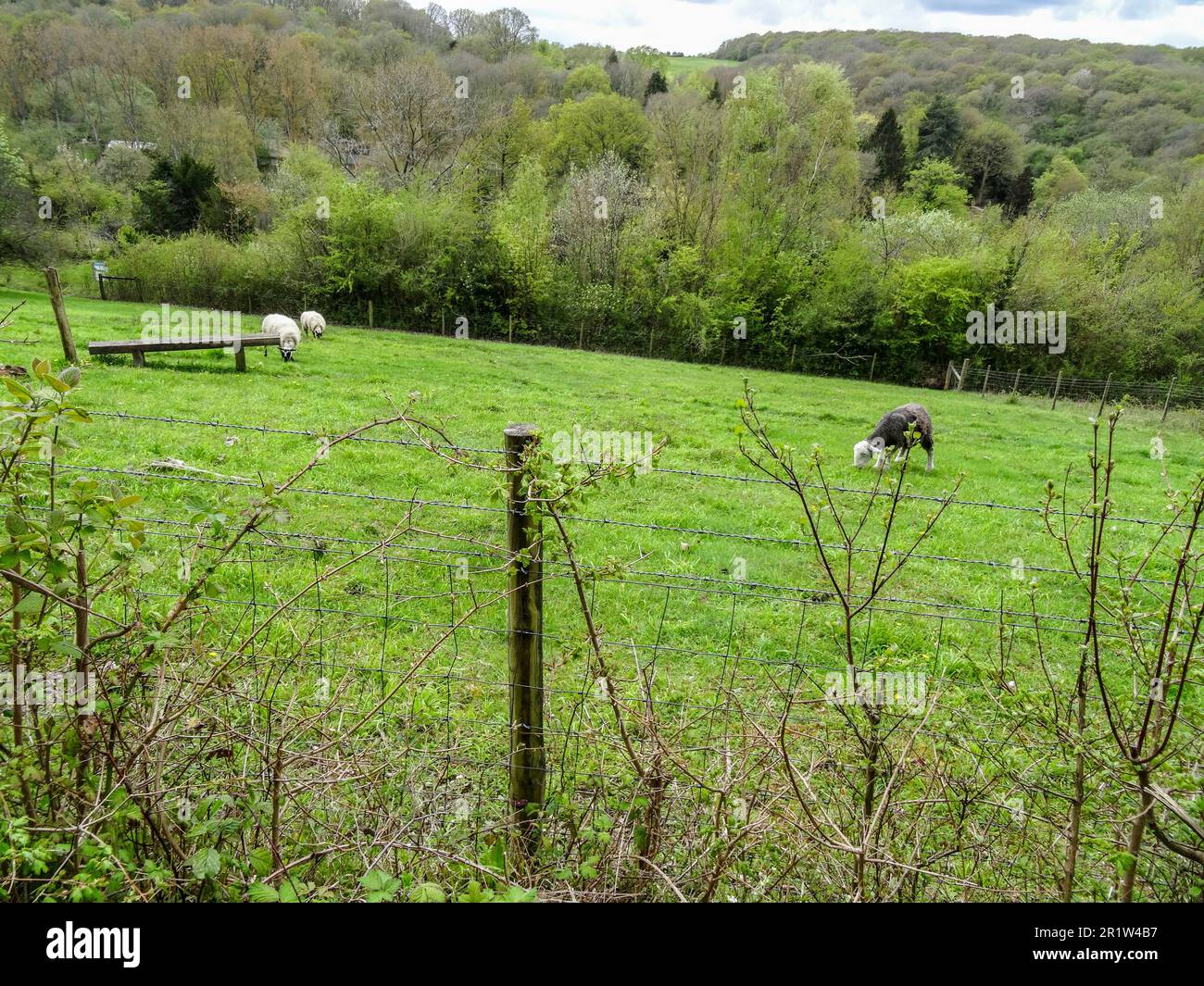 Environmentally important open space landscape in the Surrey Hills Area ...