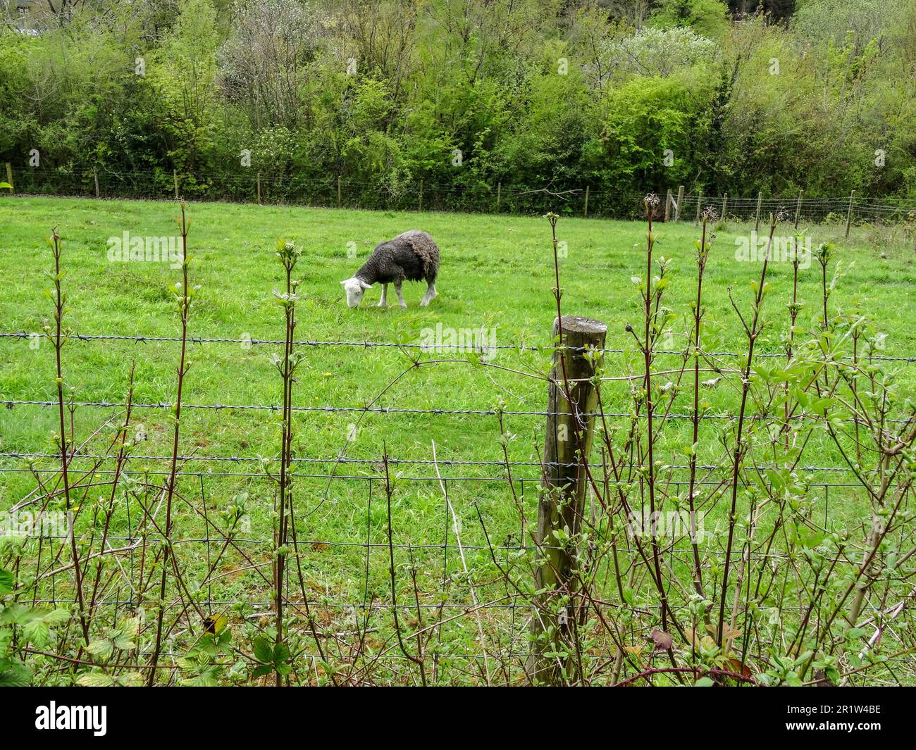 Environmentally important open space landscape in the Surrey Hills Area ...