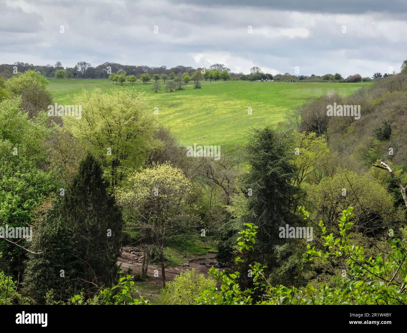 Environmentally important open space landscape in the Surrey Hills Area ...
