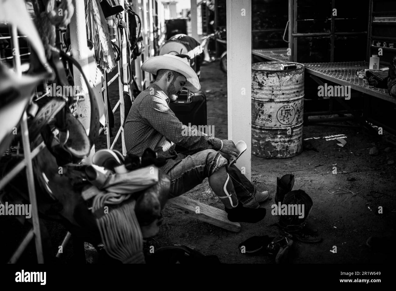 Cowboys, during the rodeo circuit at the Expo Ganadera de Sonora, on ...