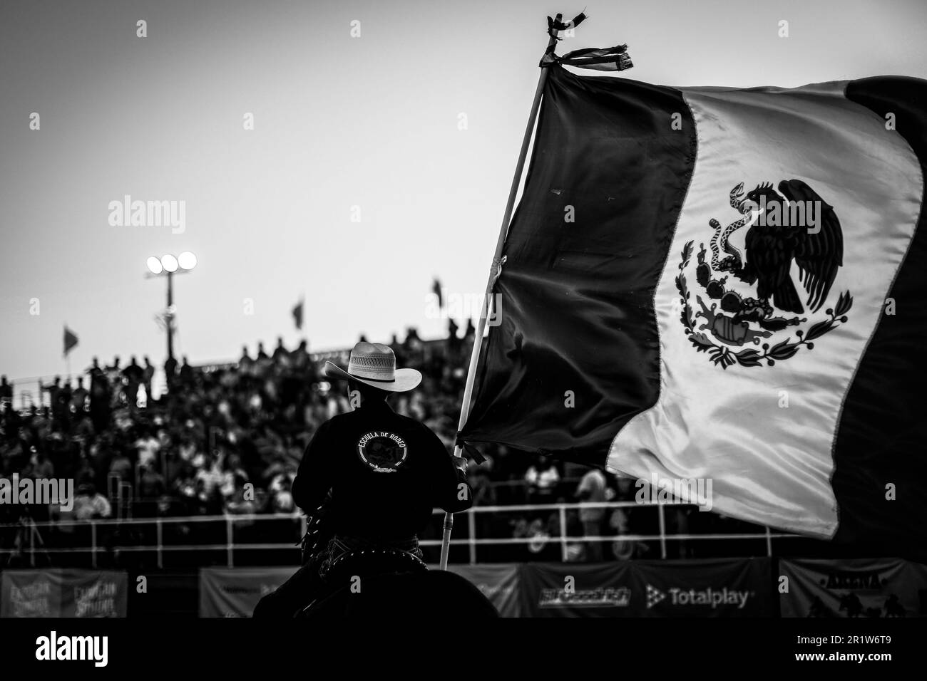 Cowboys, during the rodeo circuit at the Expo Ganadera de Sonora, on ...