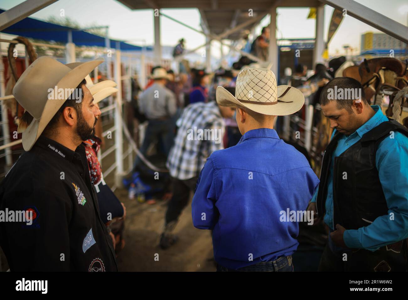 Cowboys, during the rodeo circuit at the Expo Ganadera de Sonora, on ...