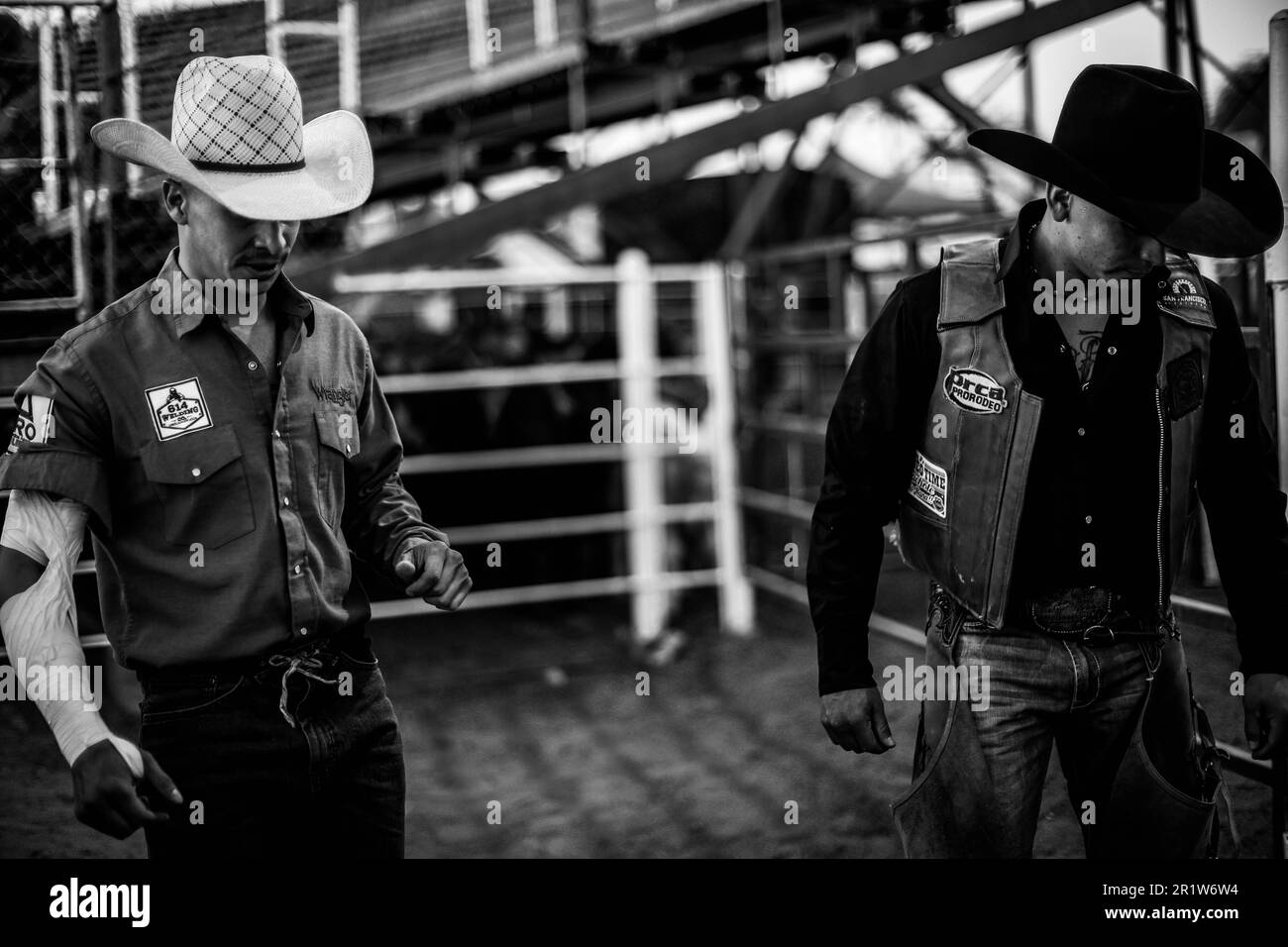 Cowboys, during the rodeo circuit at the Expo Ganadera de Sonora, on ...