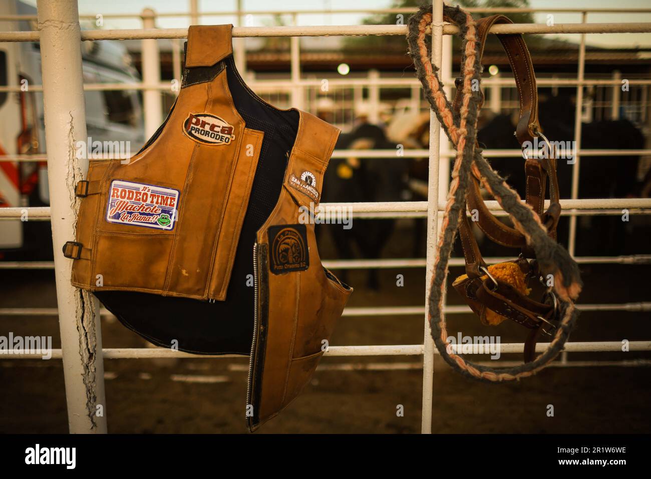 Cowboys, during the rodeo circuit at the Expo Ganadera de Sonora, on ...