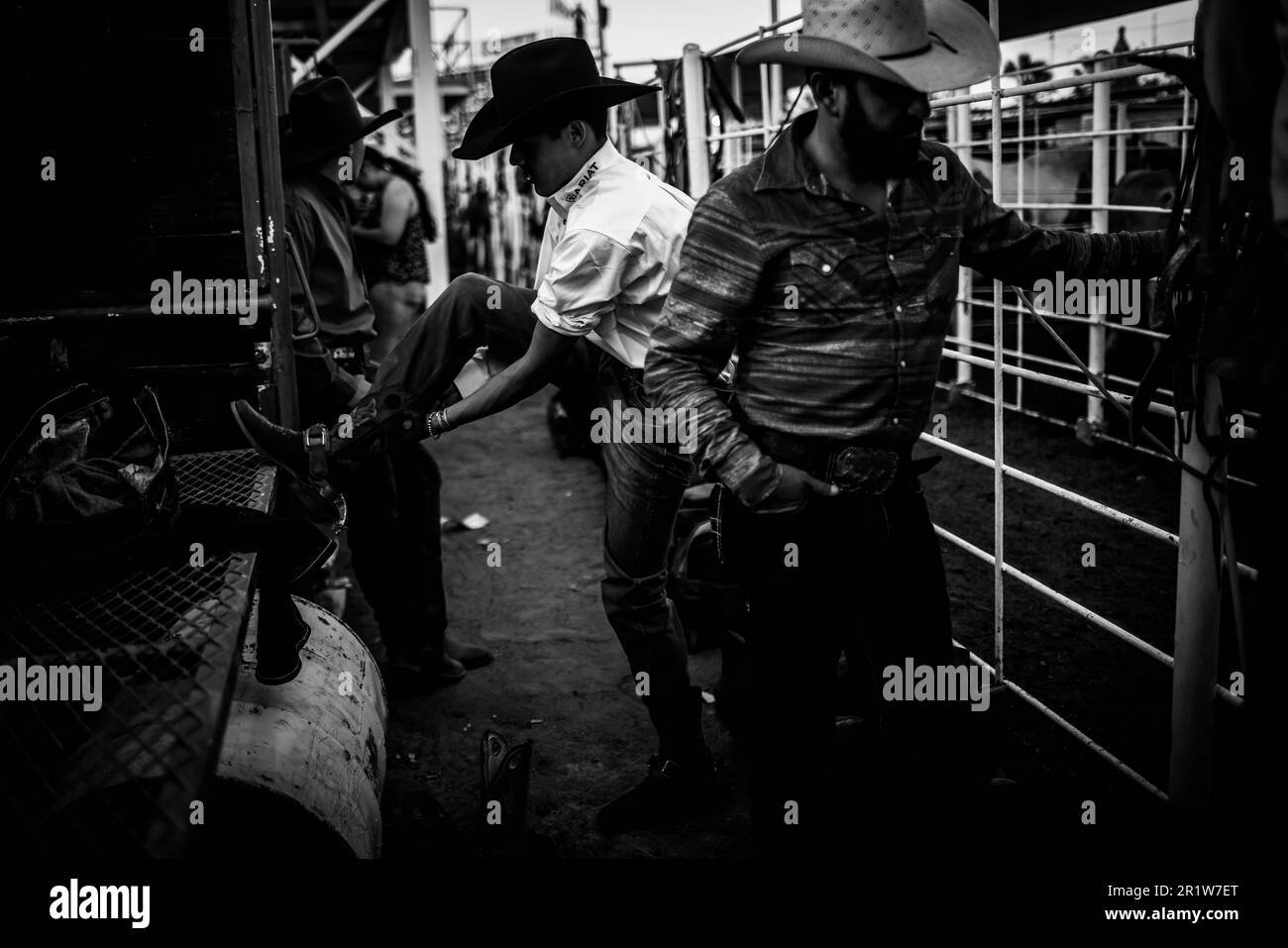 Cowboys, during the rodeo circuit at the Expo Ganadera de Sonora, on ...