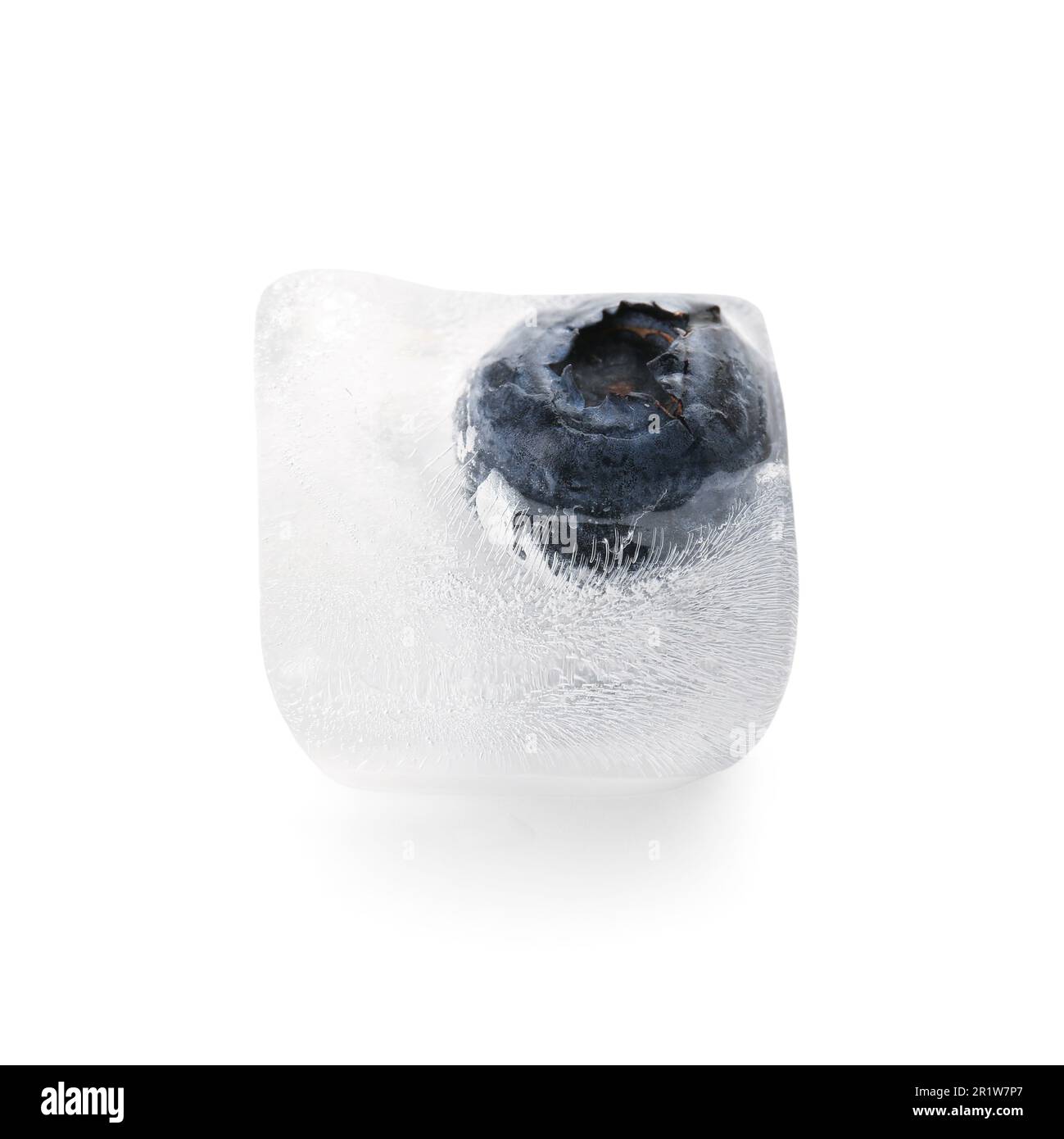Fresh blueberry frozen in ice cube on white background Stock Photo - Alamy