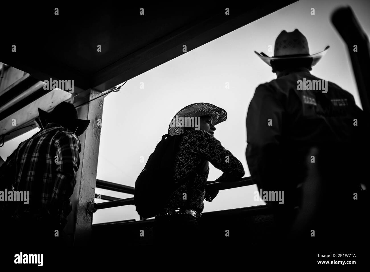 Cowboys, during the rodeo circuit at the Expo Ganadera de Sonora, on ...
