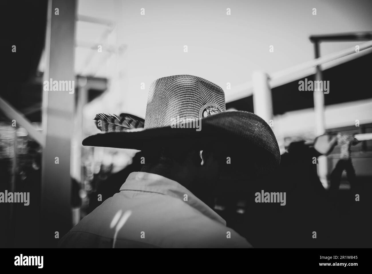 Cowboys, during the rodeo circuit at the Expo Ganadera de Sonora, on ...