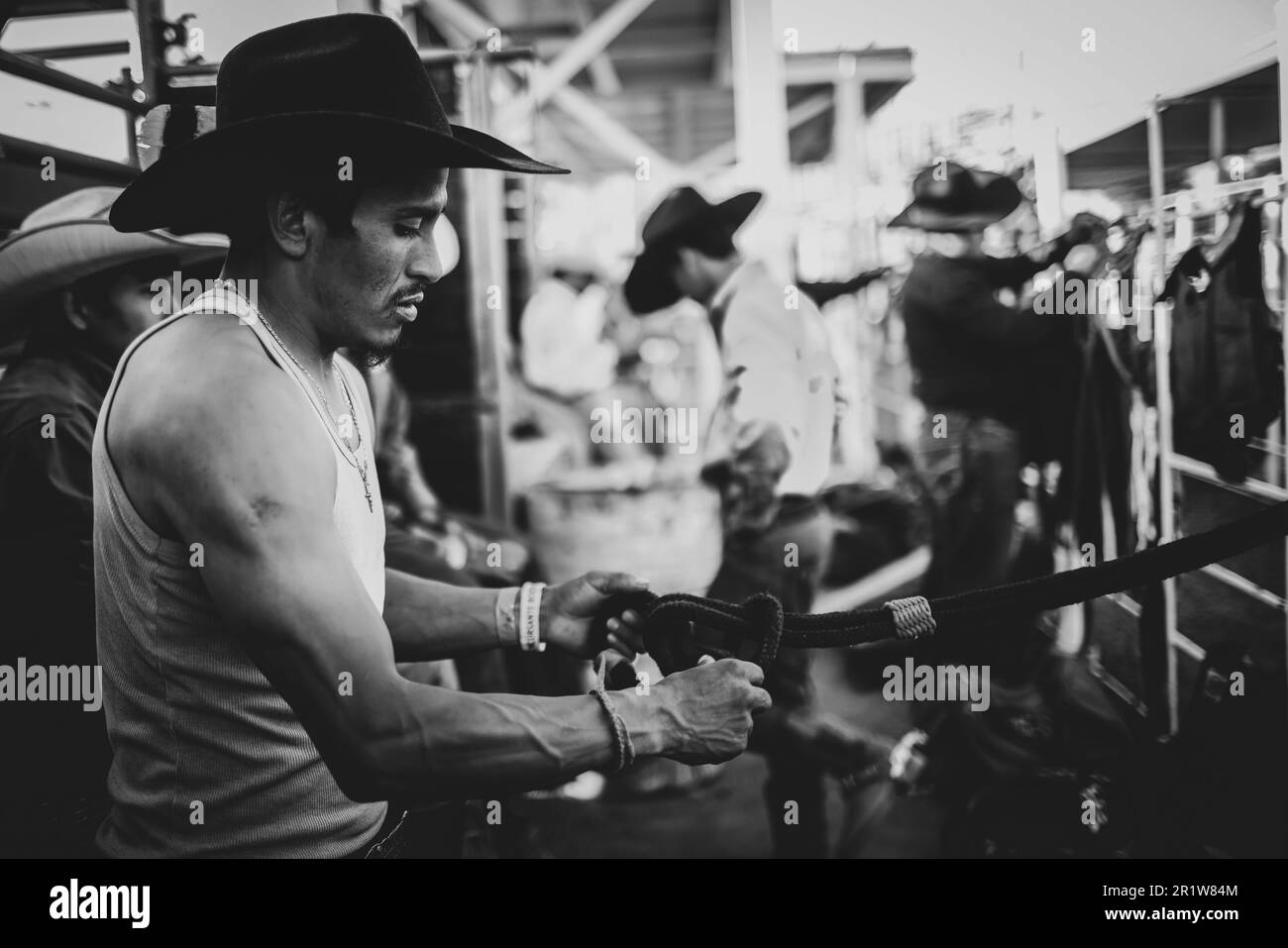 Cowboys, during the rodeo circuit at the Expo Ganadera de Sonora, on ...