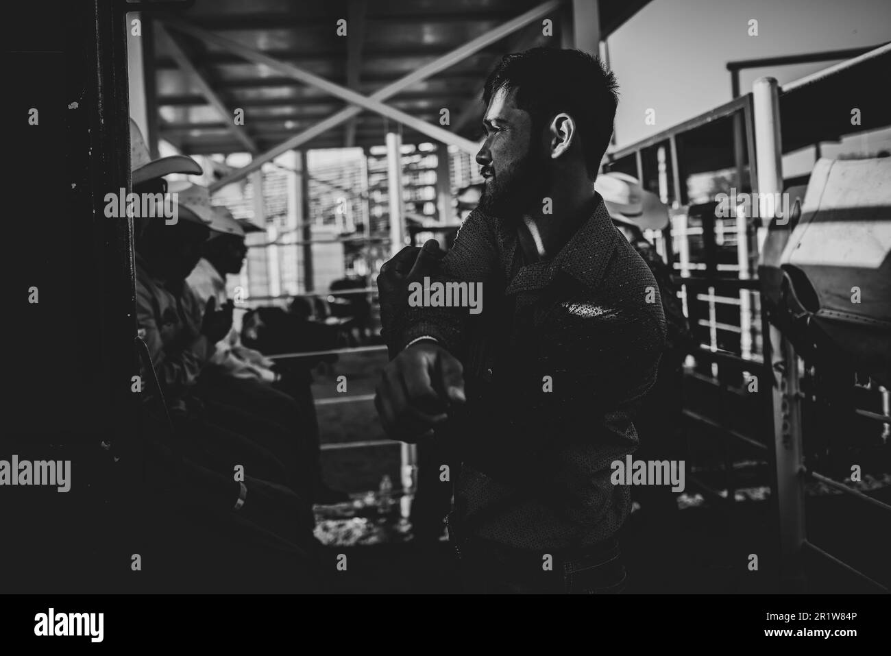 Cowboys, during the rodeo circuit at the Expo Ganadera de Sonora, on ...