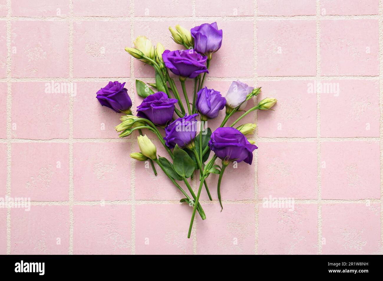 Beautiful eustoma flowers on color tile background Stock Photo - Alamy