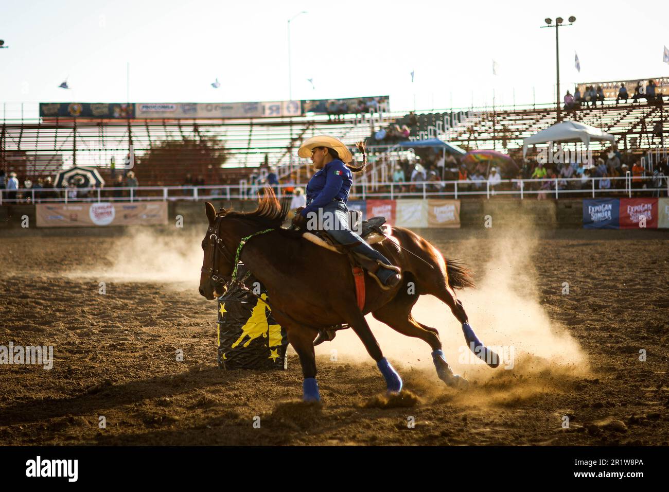 Cowboys, during the rodeo circuit at the Expo Ganadera de Sonora, on ...