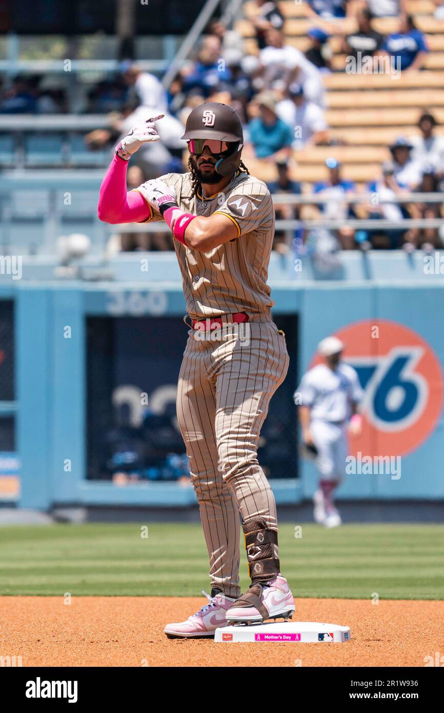 San Diego Padres right fielder Fernando Tatis Jr. (23) celebrates after ...