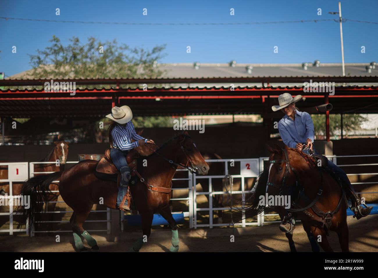 Cowboys, during the rodeo circuit at the Expo Ganadera de Sonora, on ...