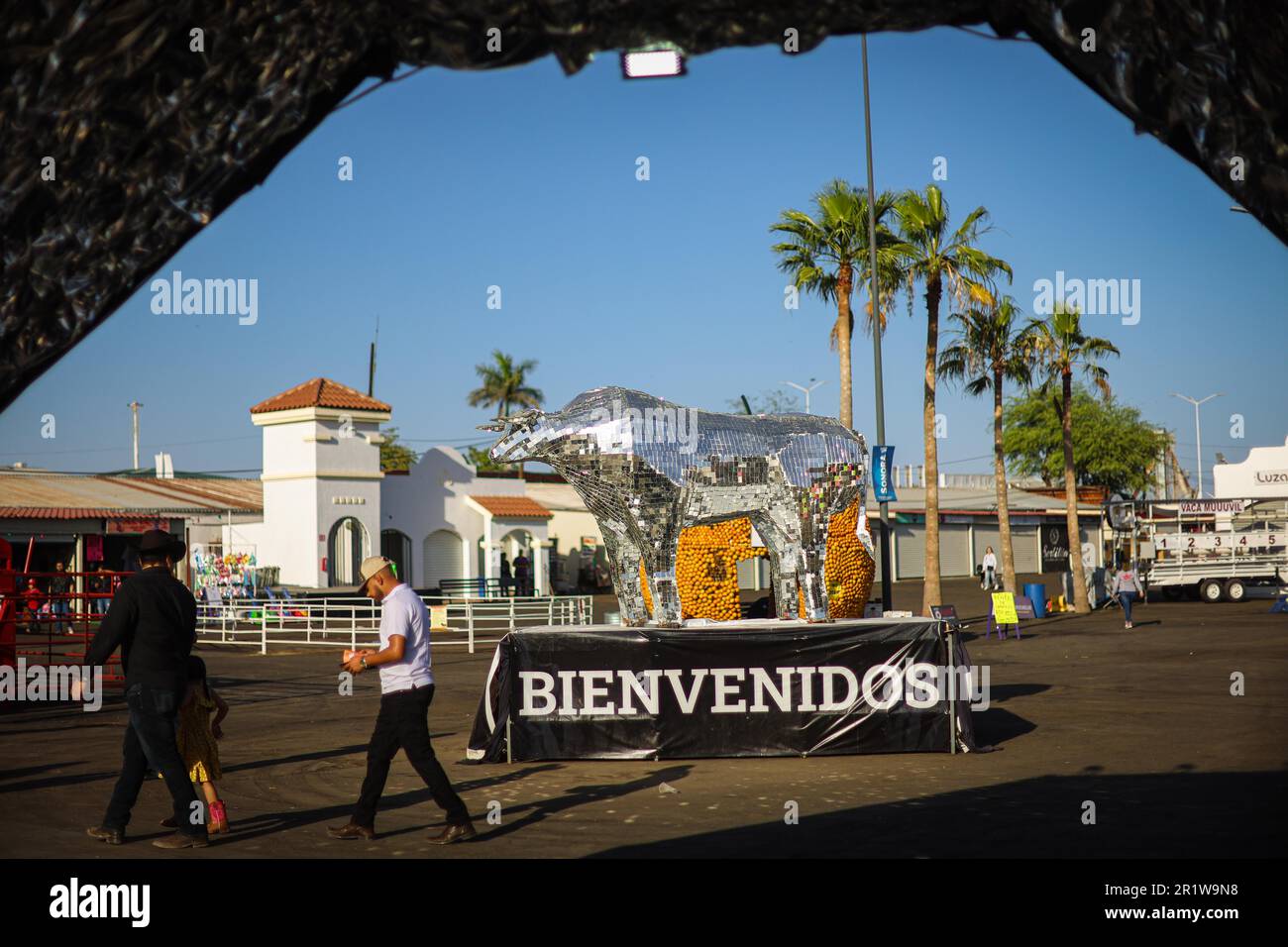 Cowboys, during the rodeo circuit at the Expo Ganadera de Sonora, on ...