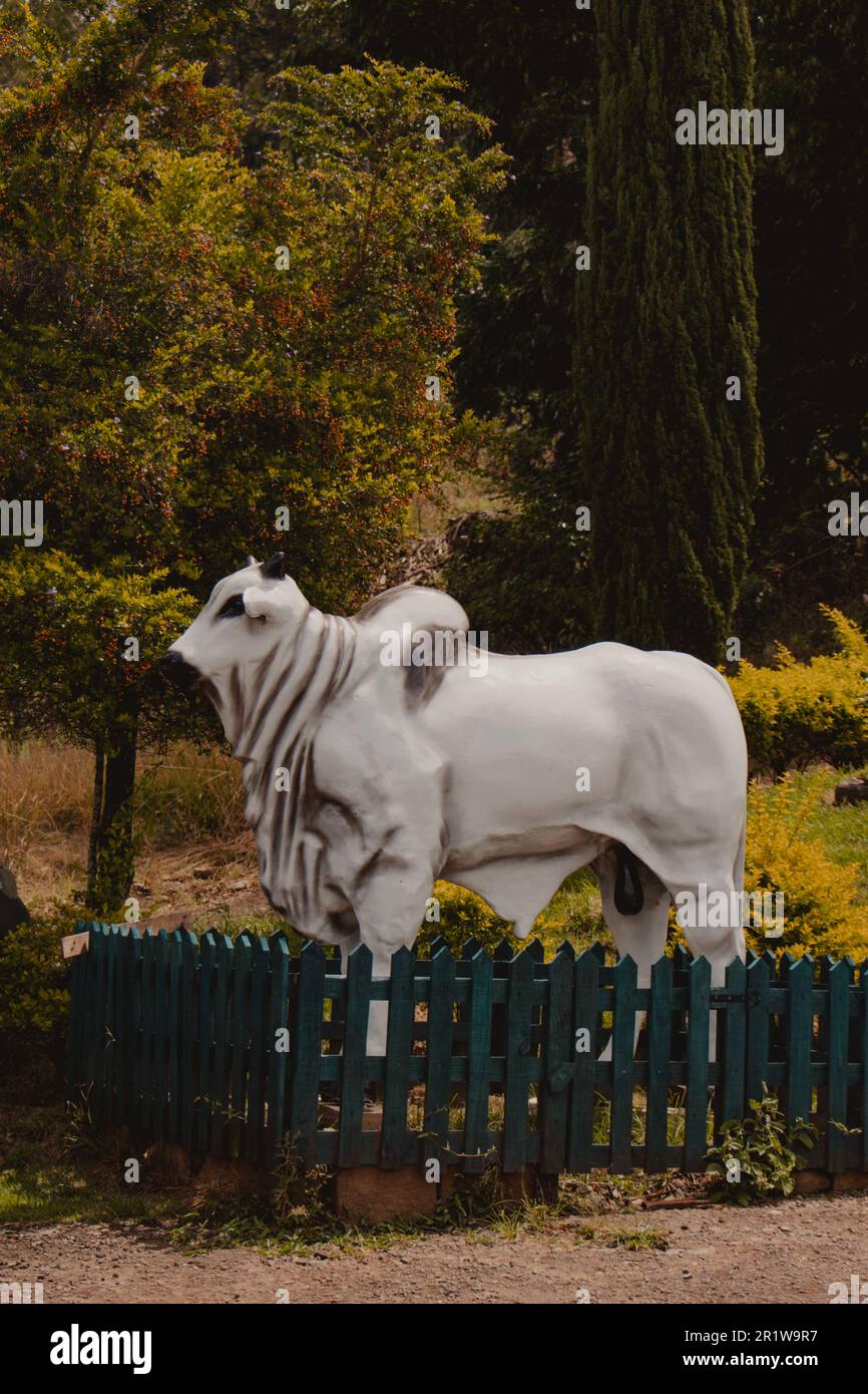 white ox statue Stock Photo - Alamy