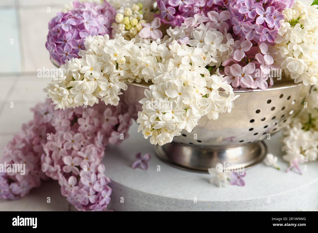Colander with Beautiful fragrant lilac flowers near white tile Stock ...