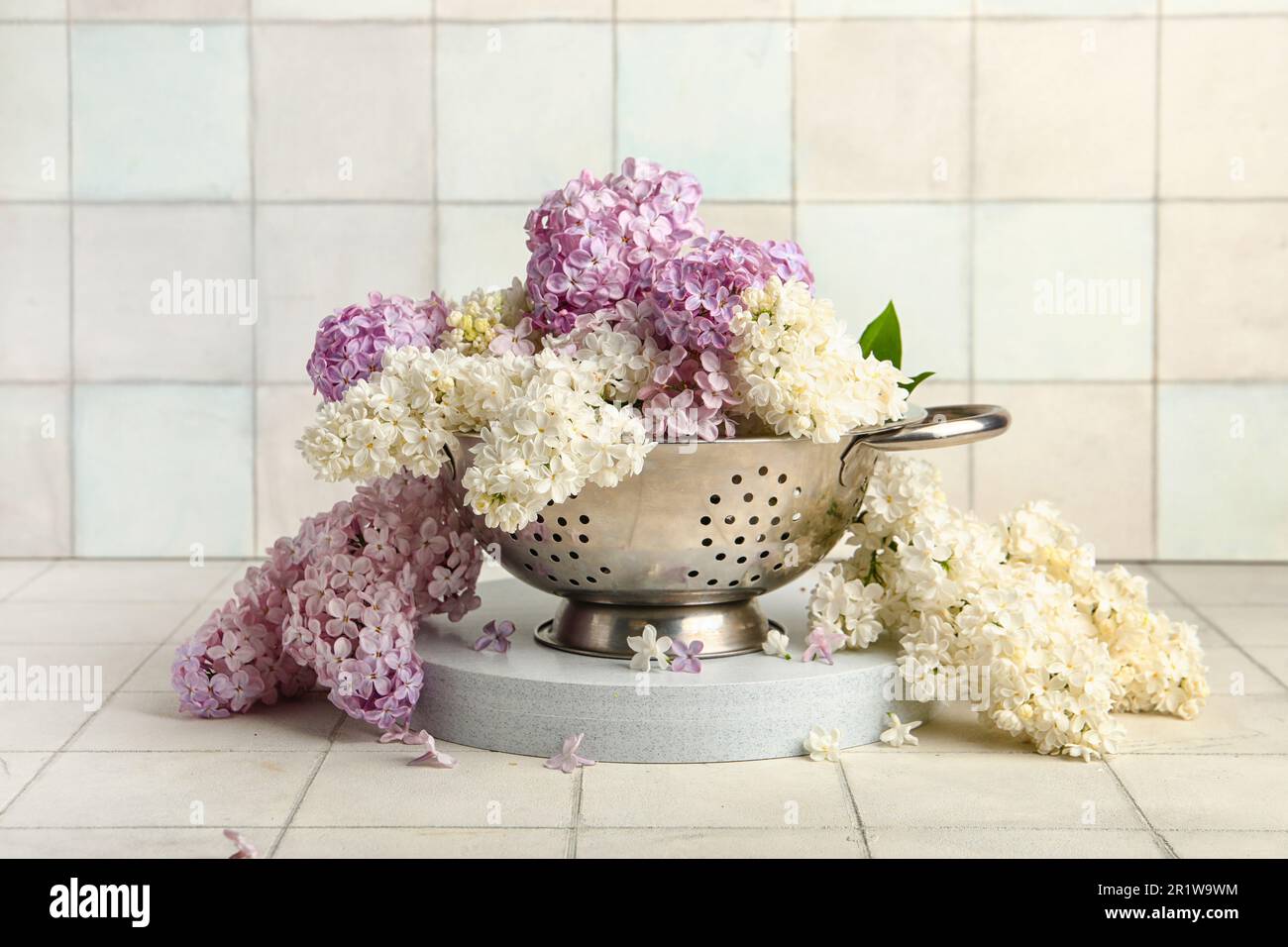 Colander with Beautiful fragrant lilac flowers near white tile Stock ...
