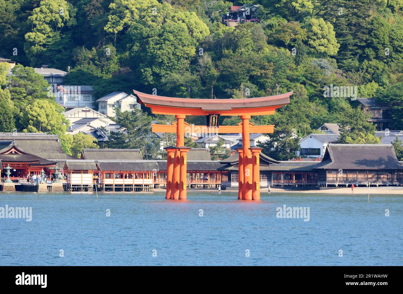 Hatsukaichi, Japan. 15th May, 2023. The World's Heritage Itsukushima ...