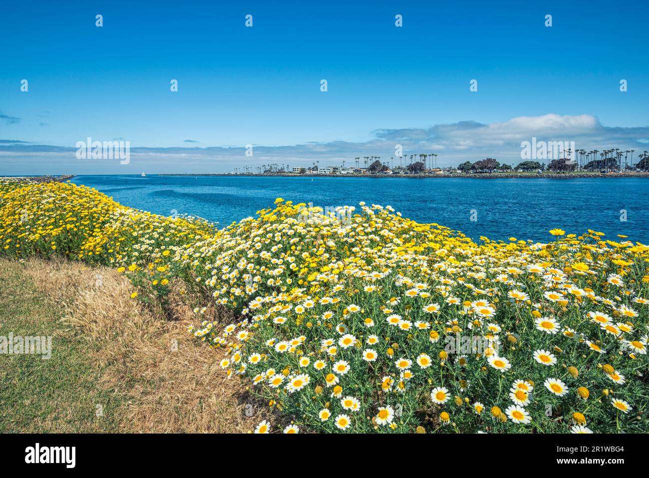 Beautiful scenery mission bay in hi-res stock photography and images ...