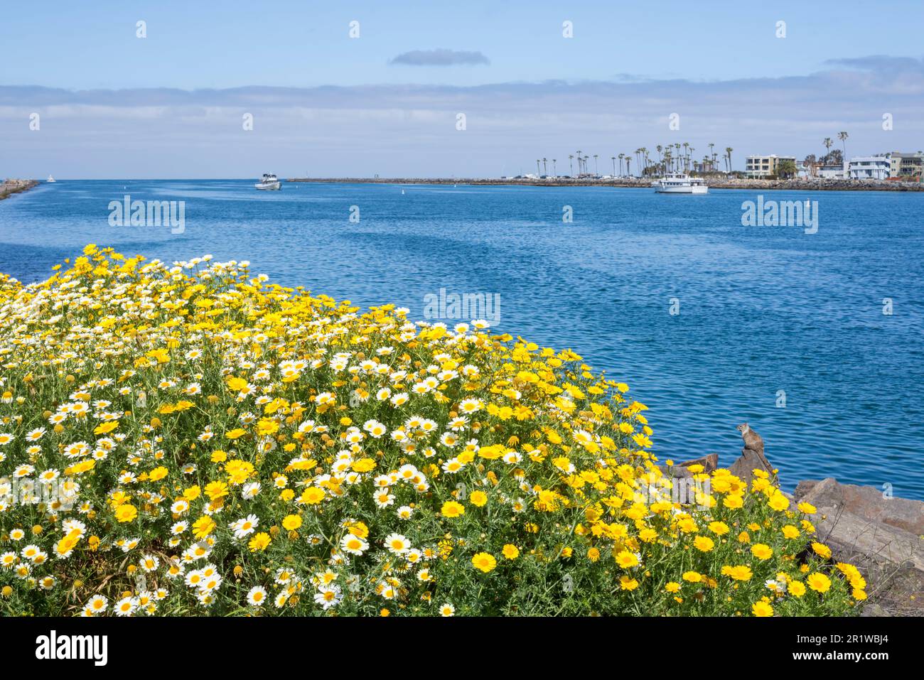 Beautiful scenery mission bay in hi-res stock photography and images ...