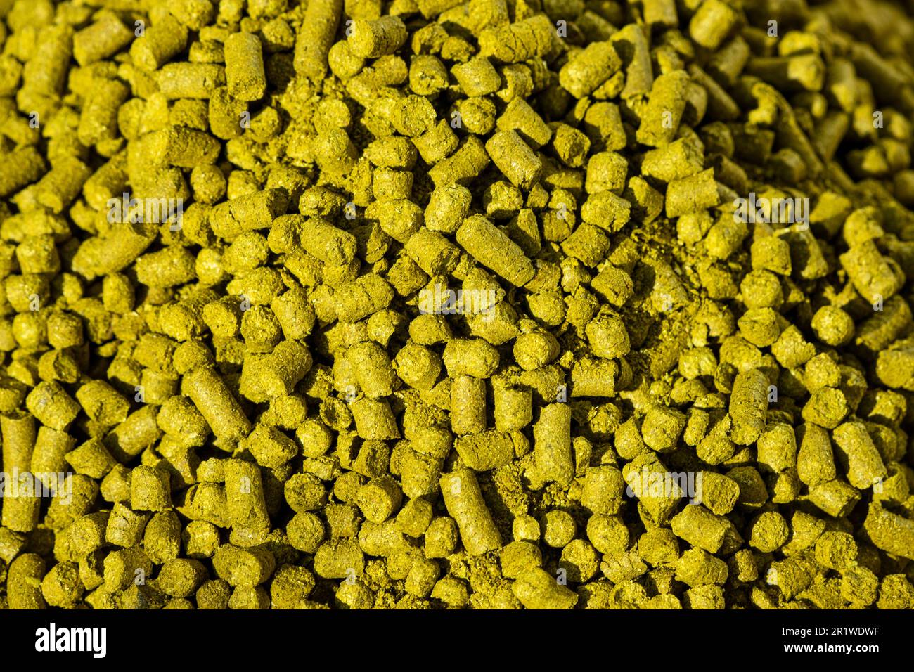 overview of fresh hop pellets Stock Photo - Alamy
