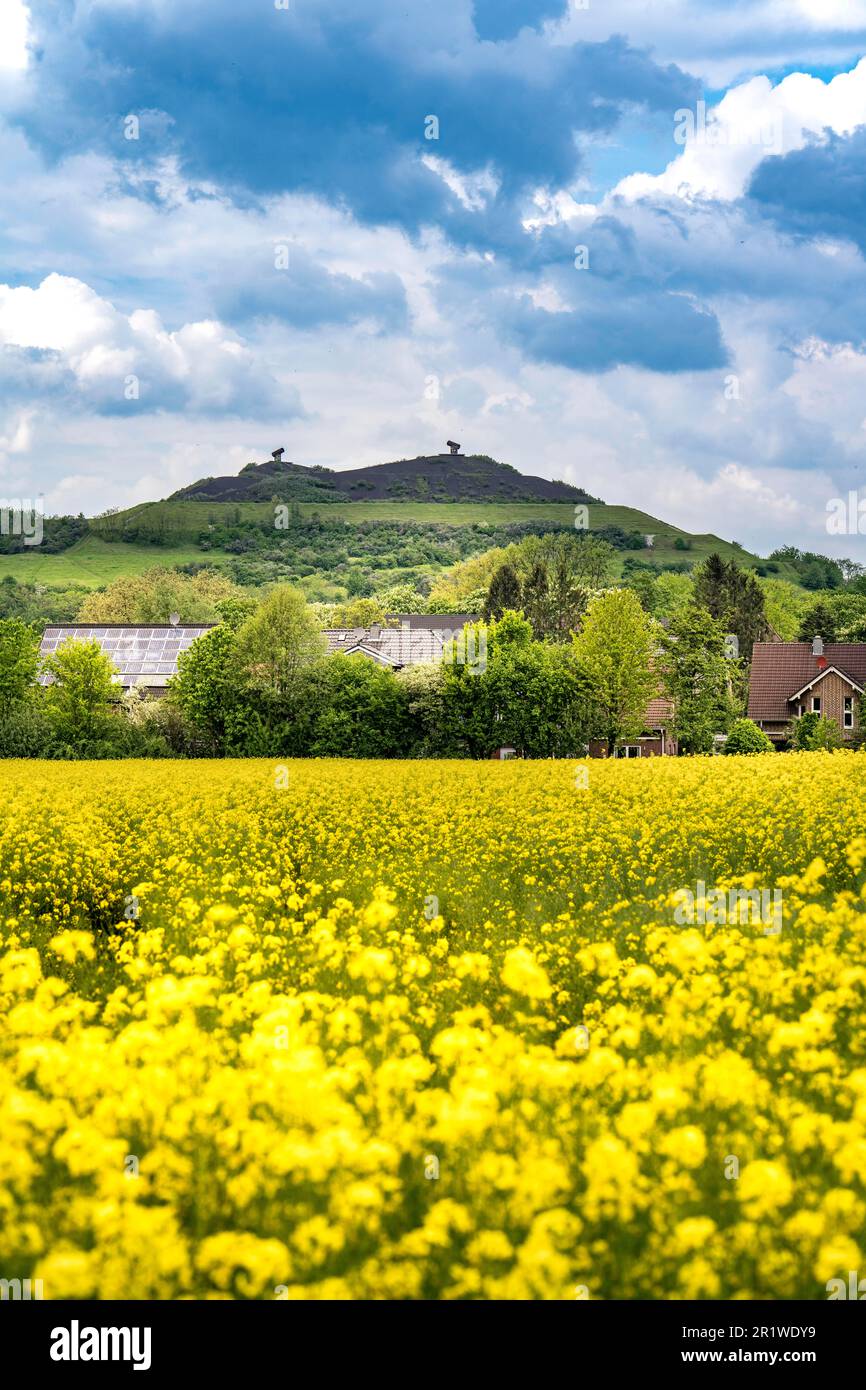 Rungenberg slag heap in the Buer district, light installation night ...