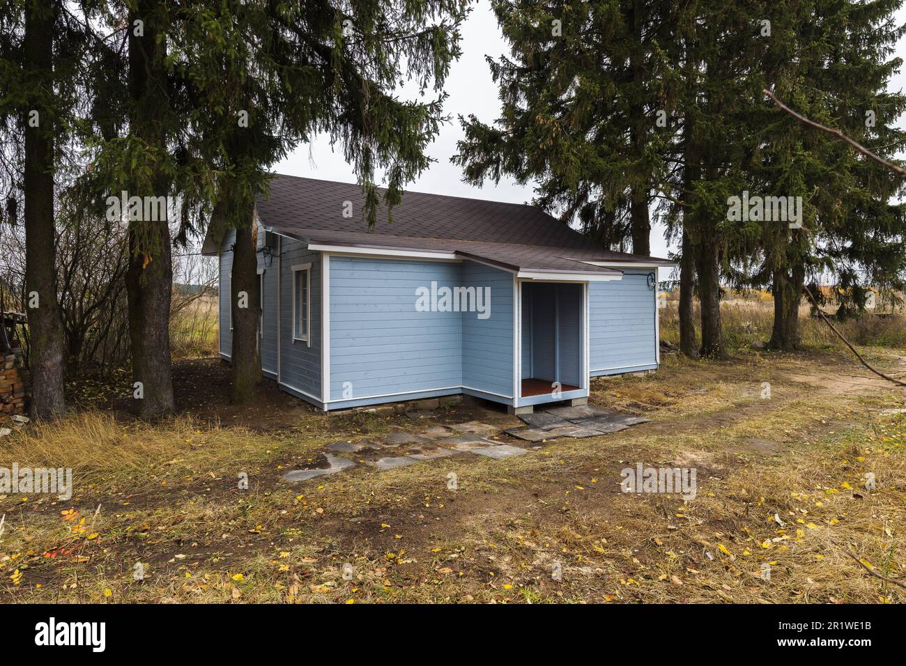 Small cozy blue house in the forest under tree Stock Photo - Alamy