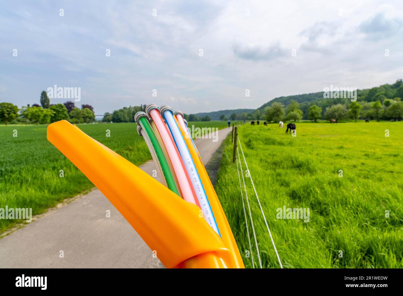 Fibre optic cable, freshly laid along a field path, at a horse paddock ...