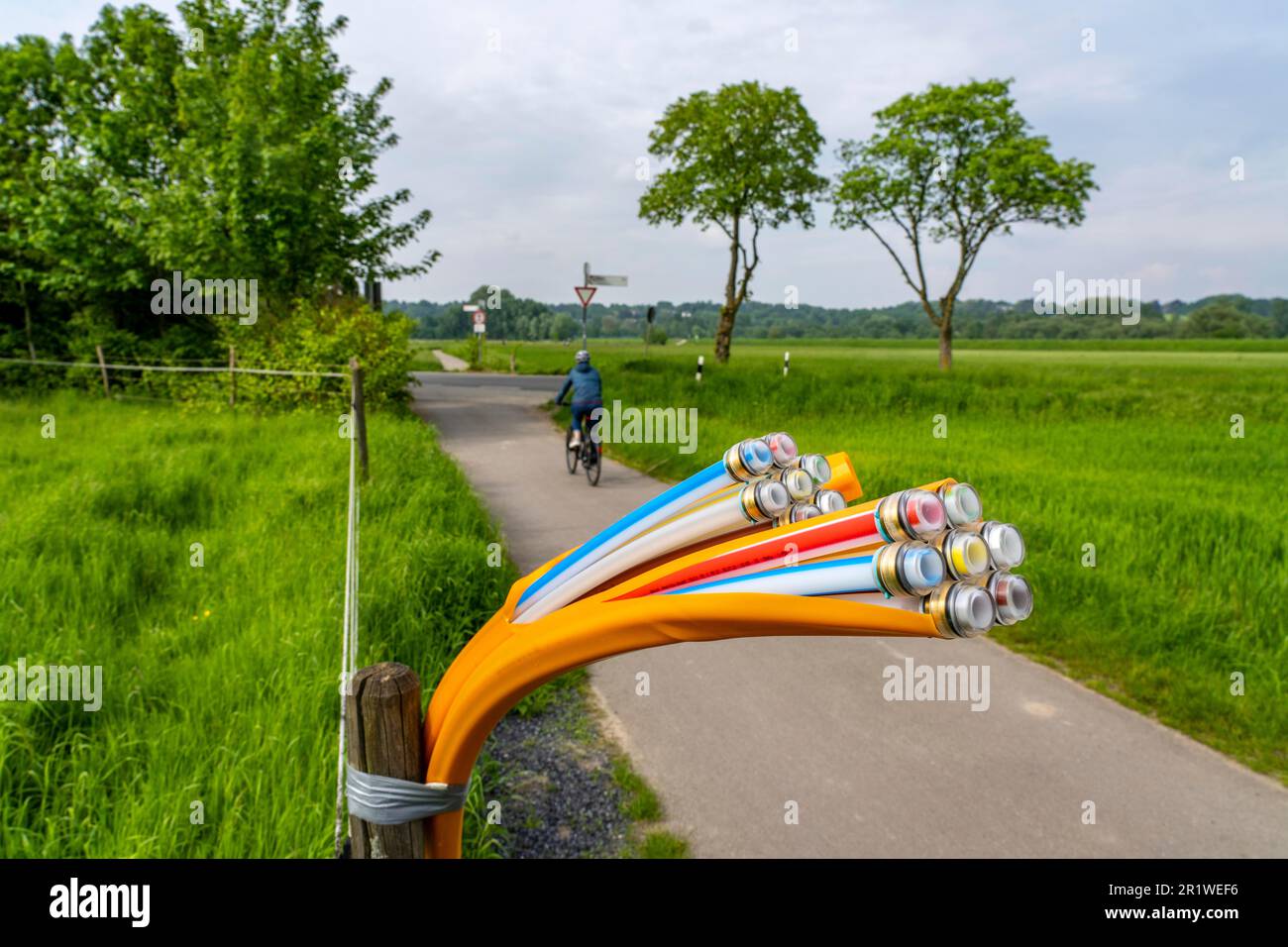 Fibre optic cable, freshly laid along a field path, at a horse paddock ...