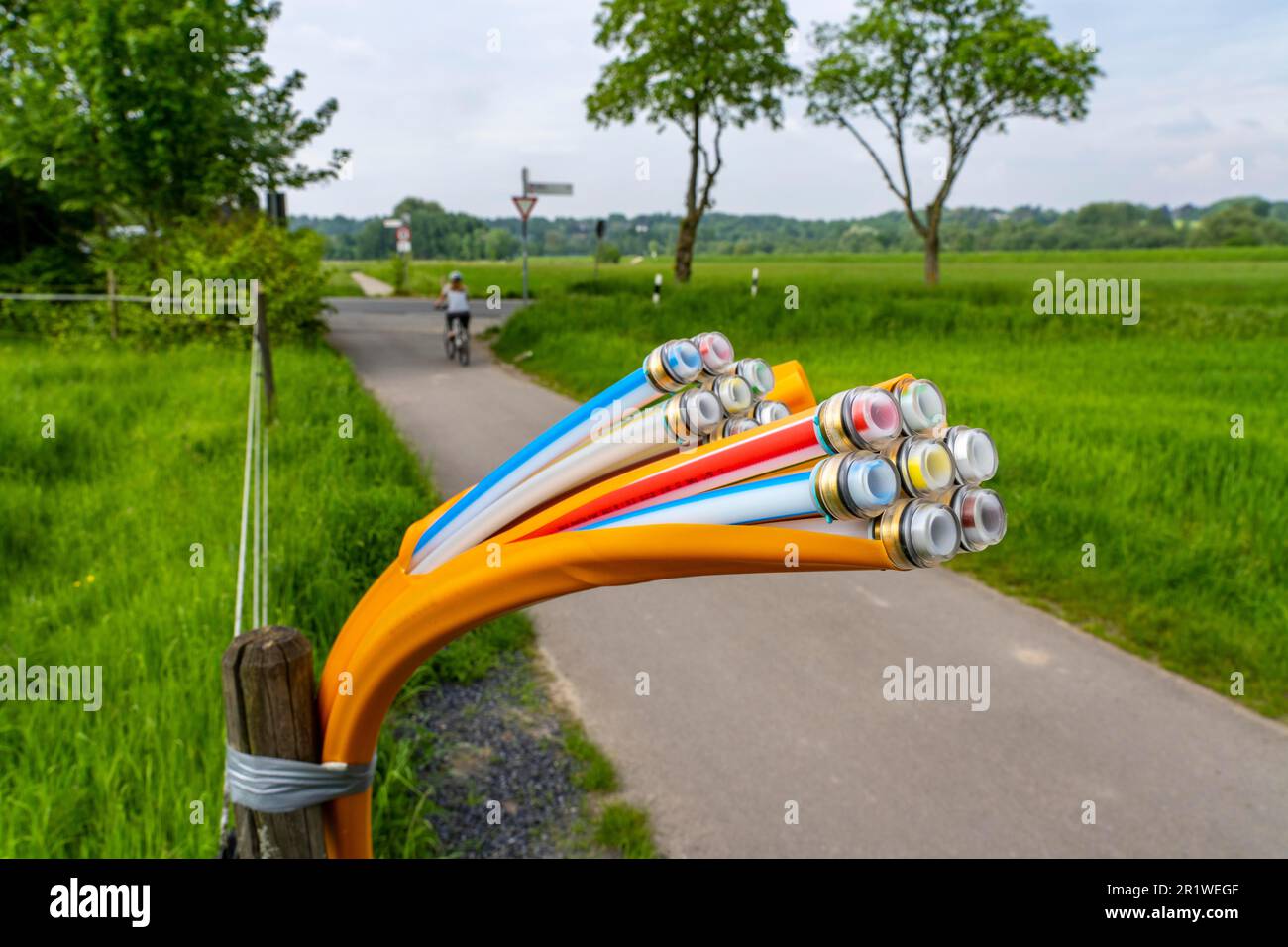 Fibre optic cable, freshly laid along a field path, at a horse paddock ...