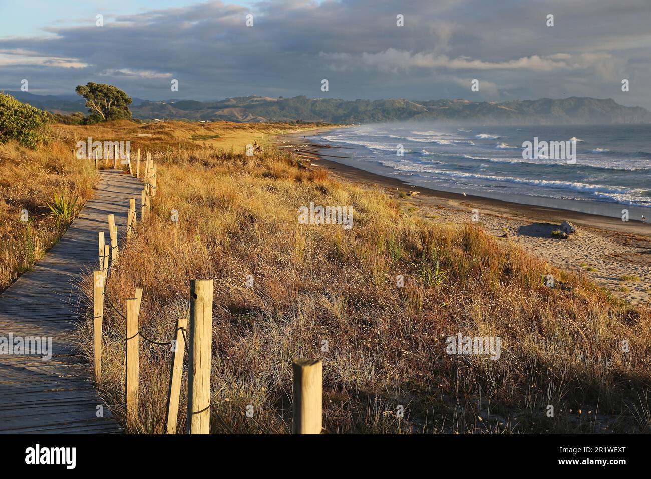 Waves on waihi beach new hi-res stock photography and images - Alamy